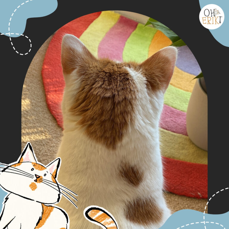 The OH ERIK! Cat Website, Gifts and Goodies